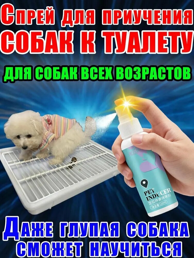 Корректор поведения для животных