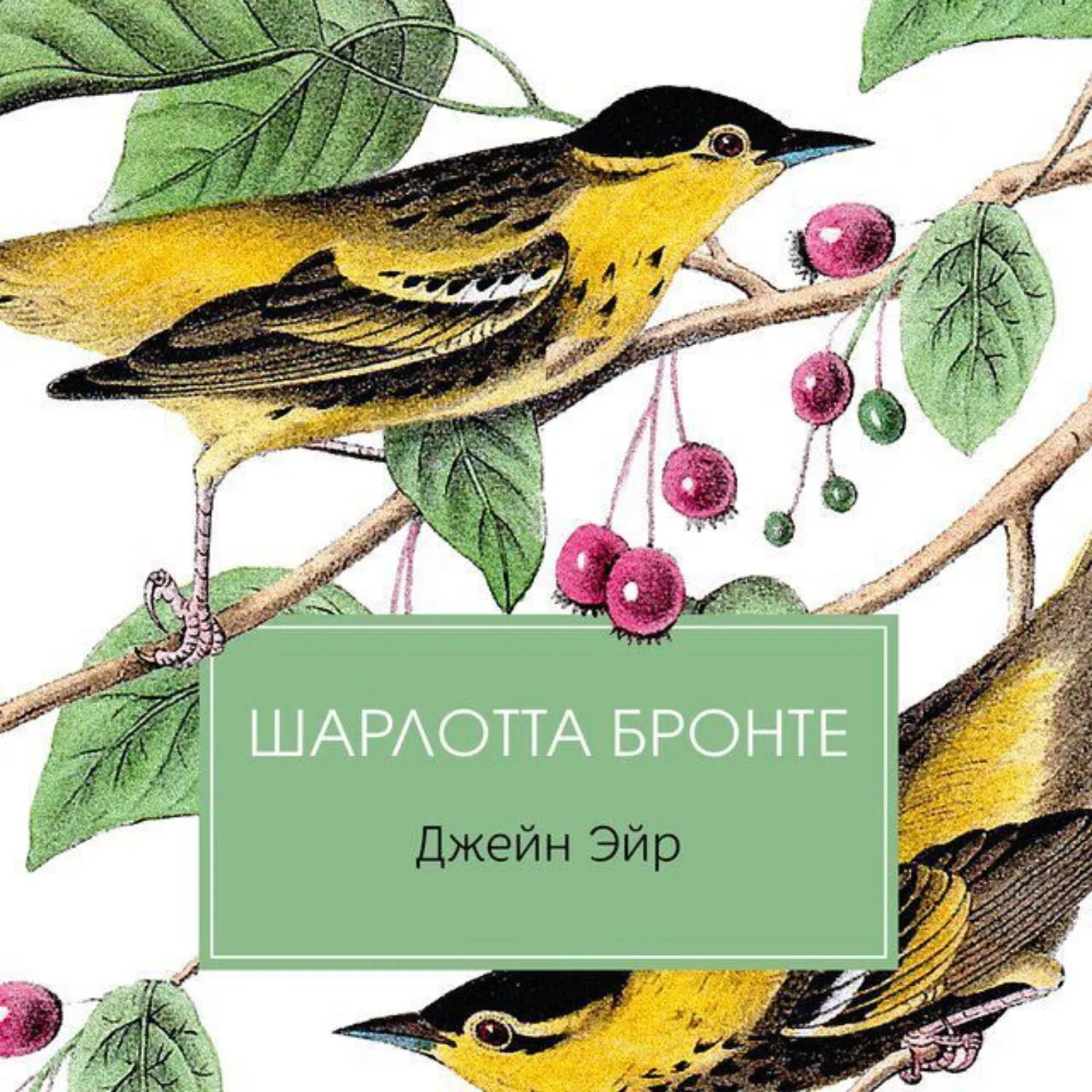 Джейн Эйр [Аудиокнига]