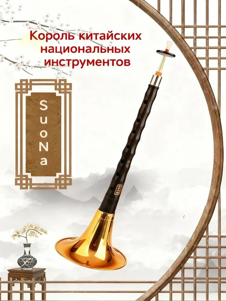 Самая громкая китайская народная музыка в деревянном зале suona D