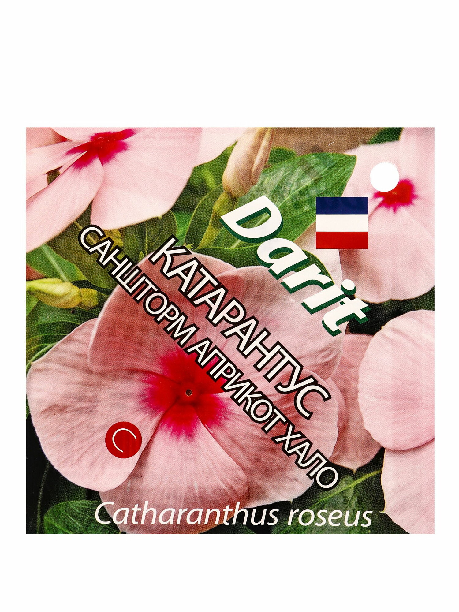 Семена цветов Катарантус Саншторм "Априкот Хало", О, 10 шт, вид: барвинок, 10 шт.