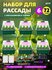 Ящик для рассады