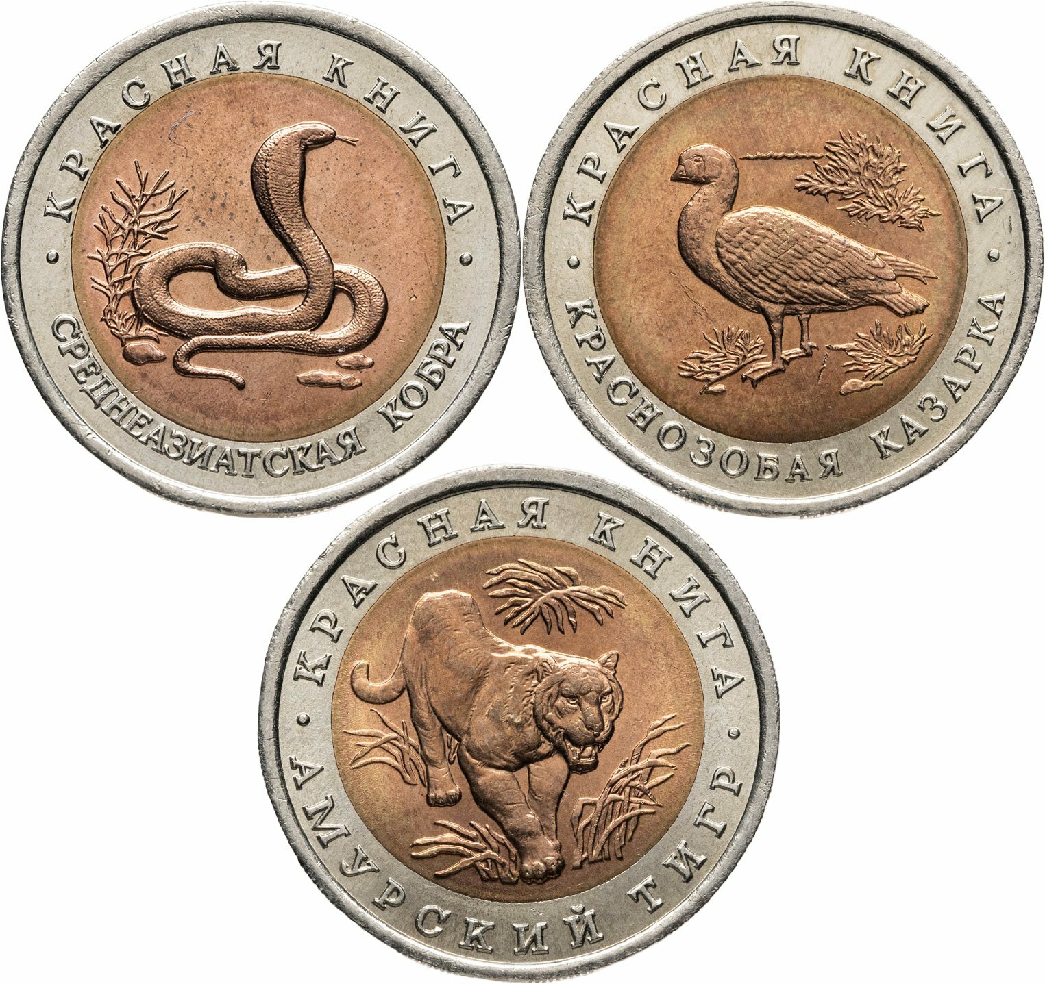 Красная Книга, набор из 3 монет 10 рублей 1992 Амурский тигр, Среднеазиатская кобра, Краснозобая казарка ЛМД, Биметалл, в сохранности AU-UNC