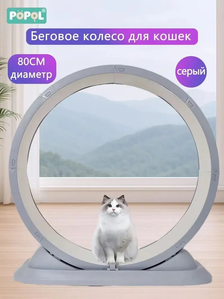 Беговое колесо для животных