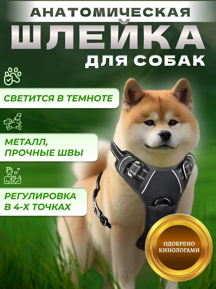 Анатомическая шлейка для собак, для дрессировки, размер S и M, светоотражающая, регулируемая