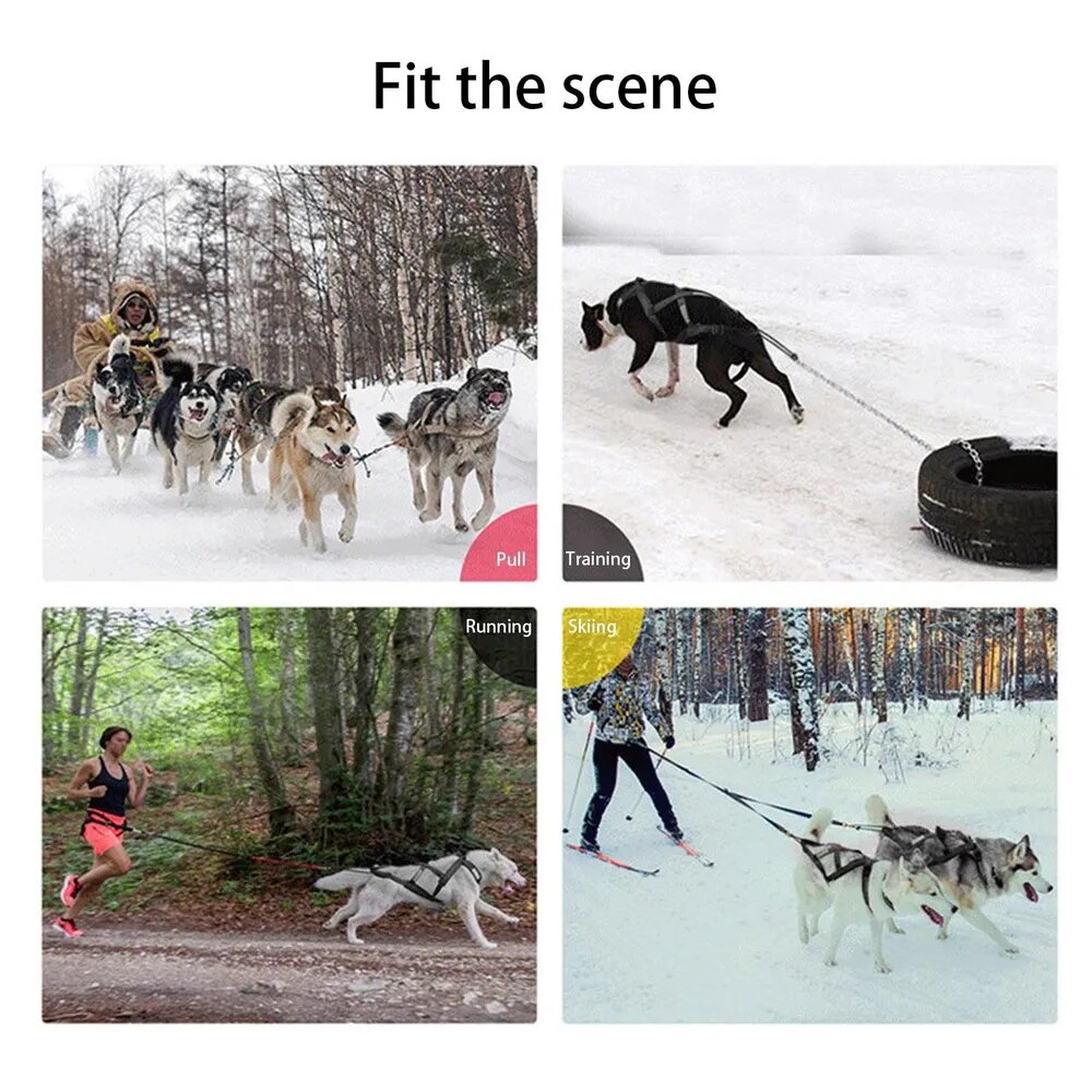 Упряжка для саней — фото 1