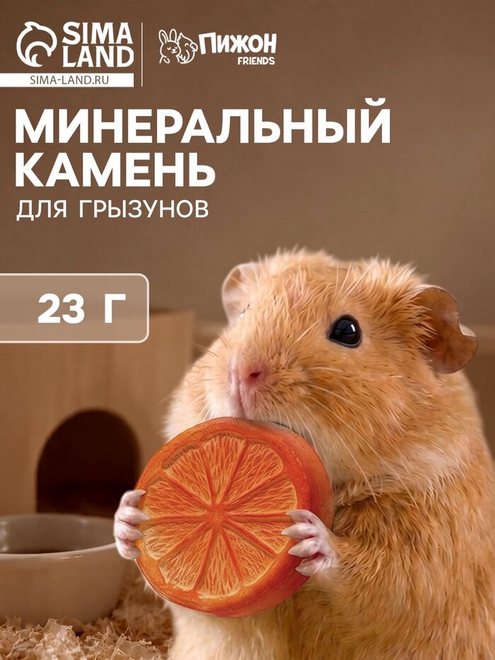 Минеральный камень «Пижон» для грызунов, апельсин, 23 г