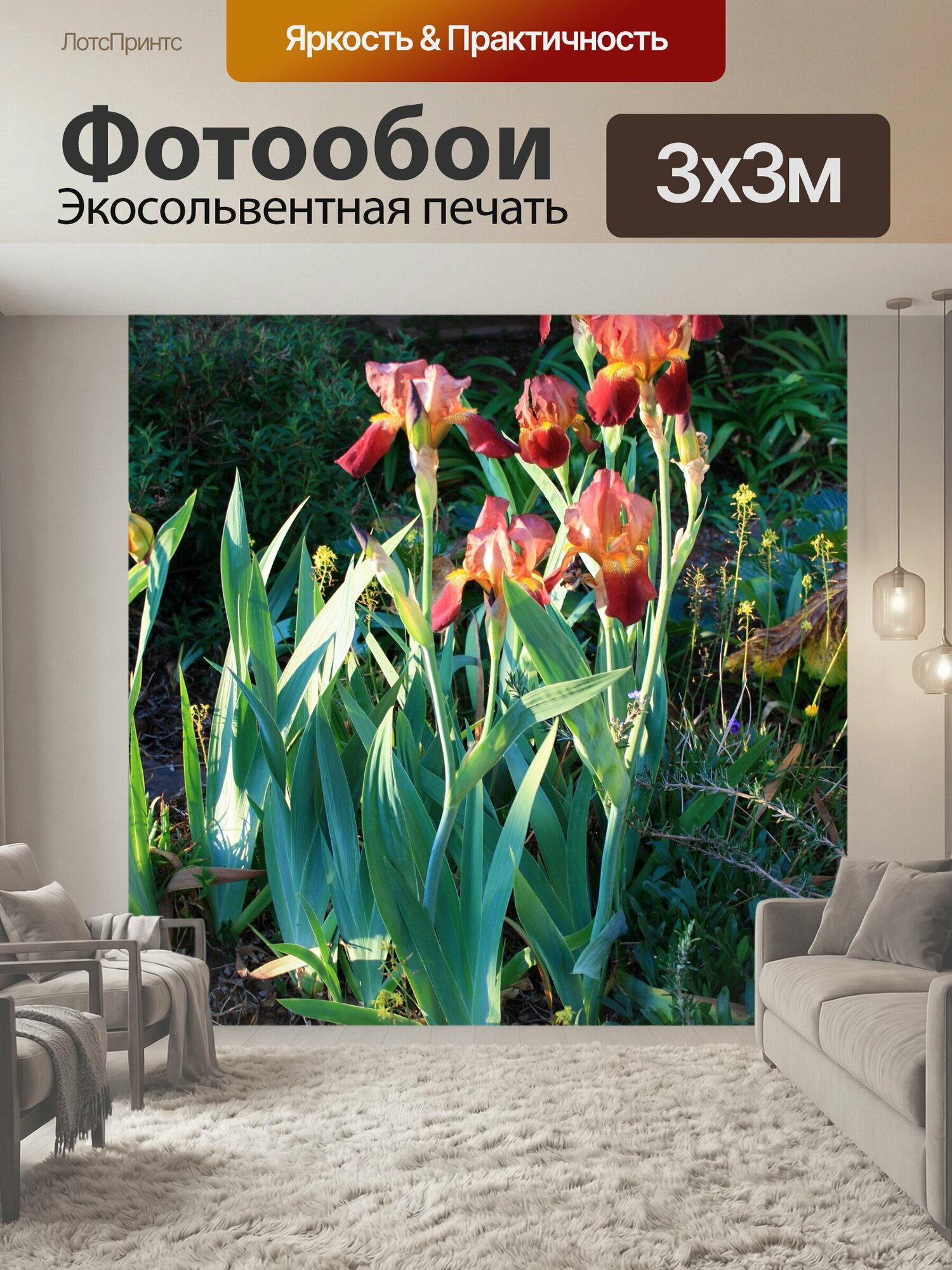 Фотообои "Высокие ирисов высокие ирисов цветы высокий лиловый желтый сад" 300x300 см. экосольвентная печать