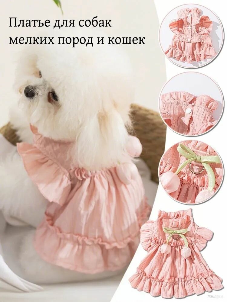 Платье для маленькой собачки, Юбка для собак