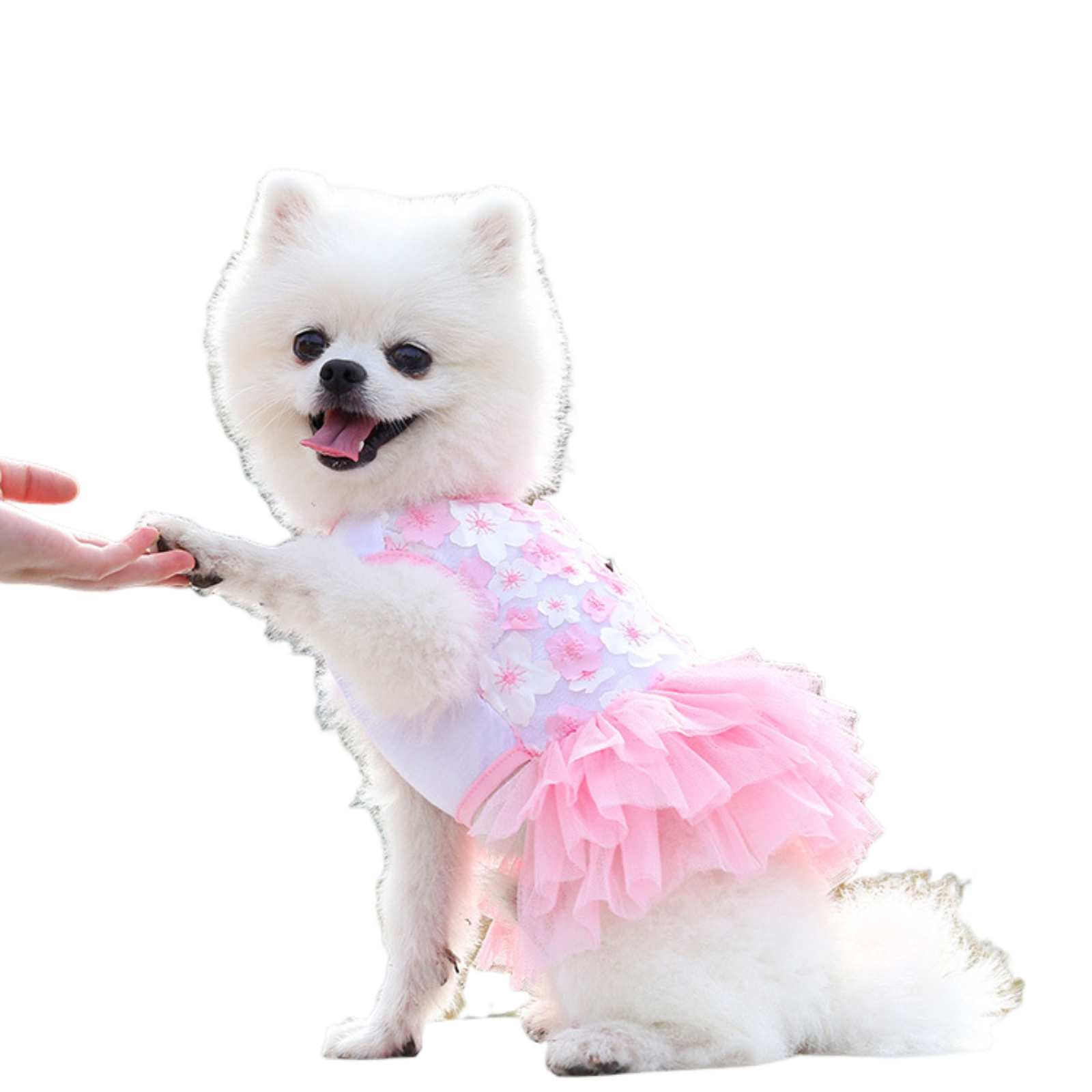 Одежда для домашних животных, платье для собак и кошек с принтом персиковых цветов, розовое платье персиковых цветов, для маленьких собак породы Тедди-Бер, размер M (грудь 40 см, рекомендуемый вес 5-7 кг), 1 штука, зоотовары для собак и кошек