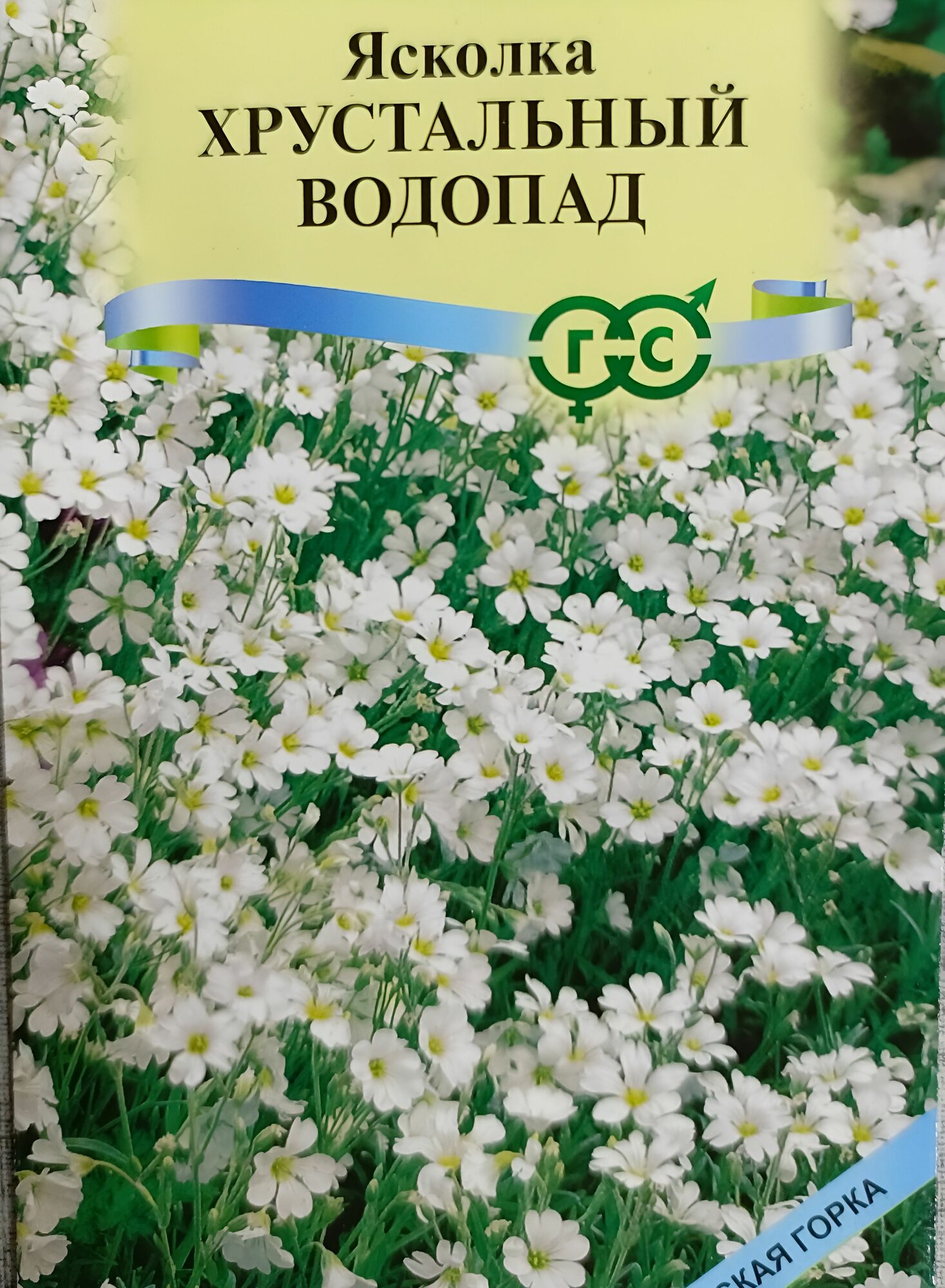 Семена цветов Ясколка Хрустальный Водопад - многолетний почвопокровник. Гавриш.