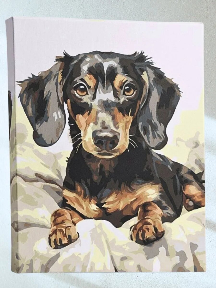 Картина по номерам Такса 40х50