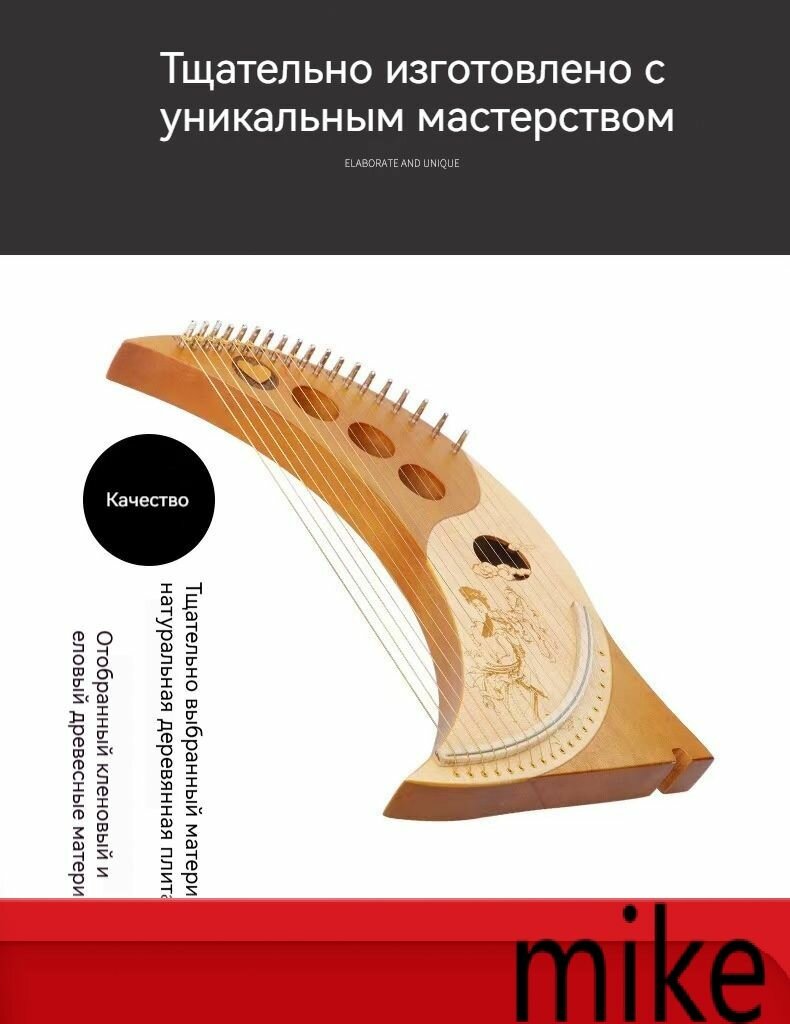Струнный инструмент — фото 1