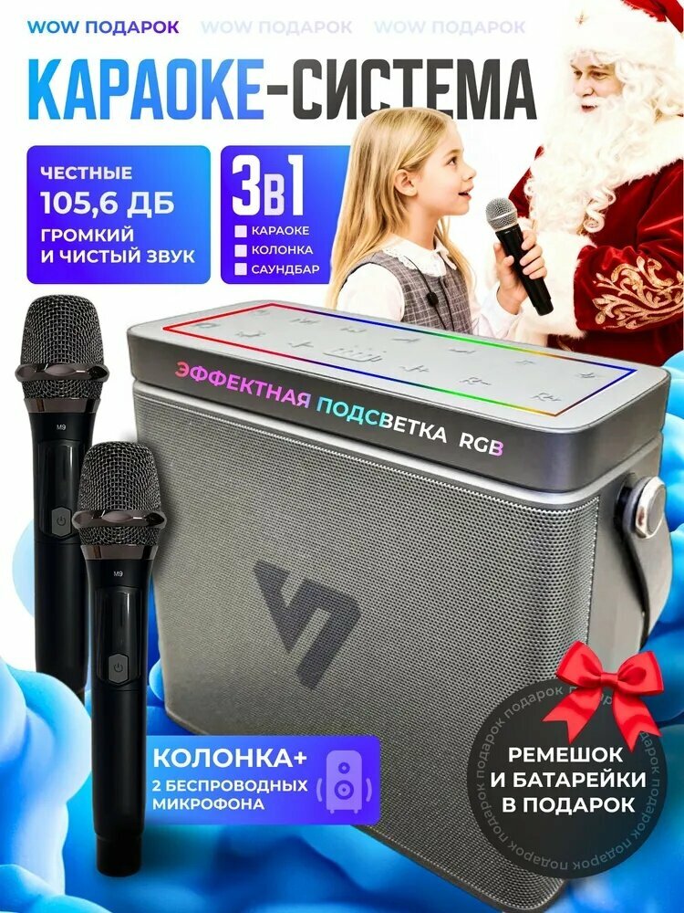 Караоке-система VR Pro, с двумя беспроводными микрофонами, серая