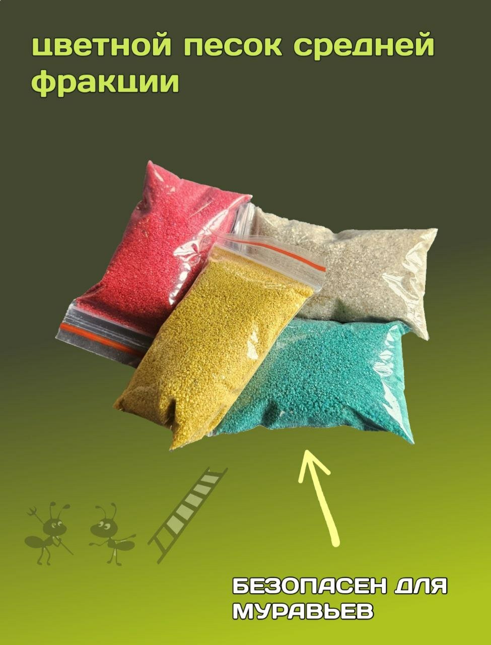 Муравьиная ферма — фото 1