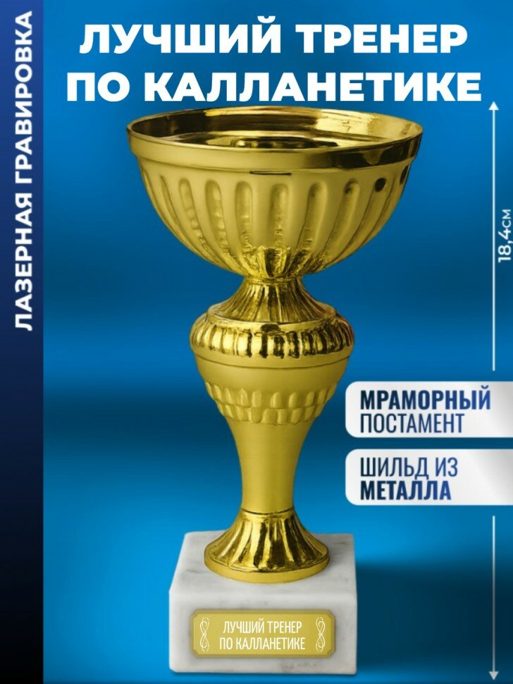 Кубок "Лучший тренер по калланетике"