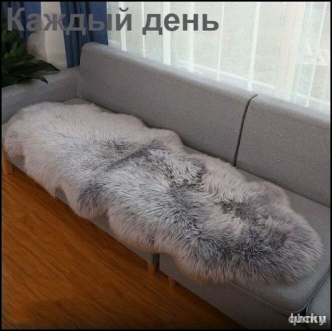 Шкура