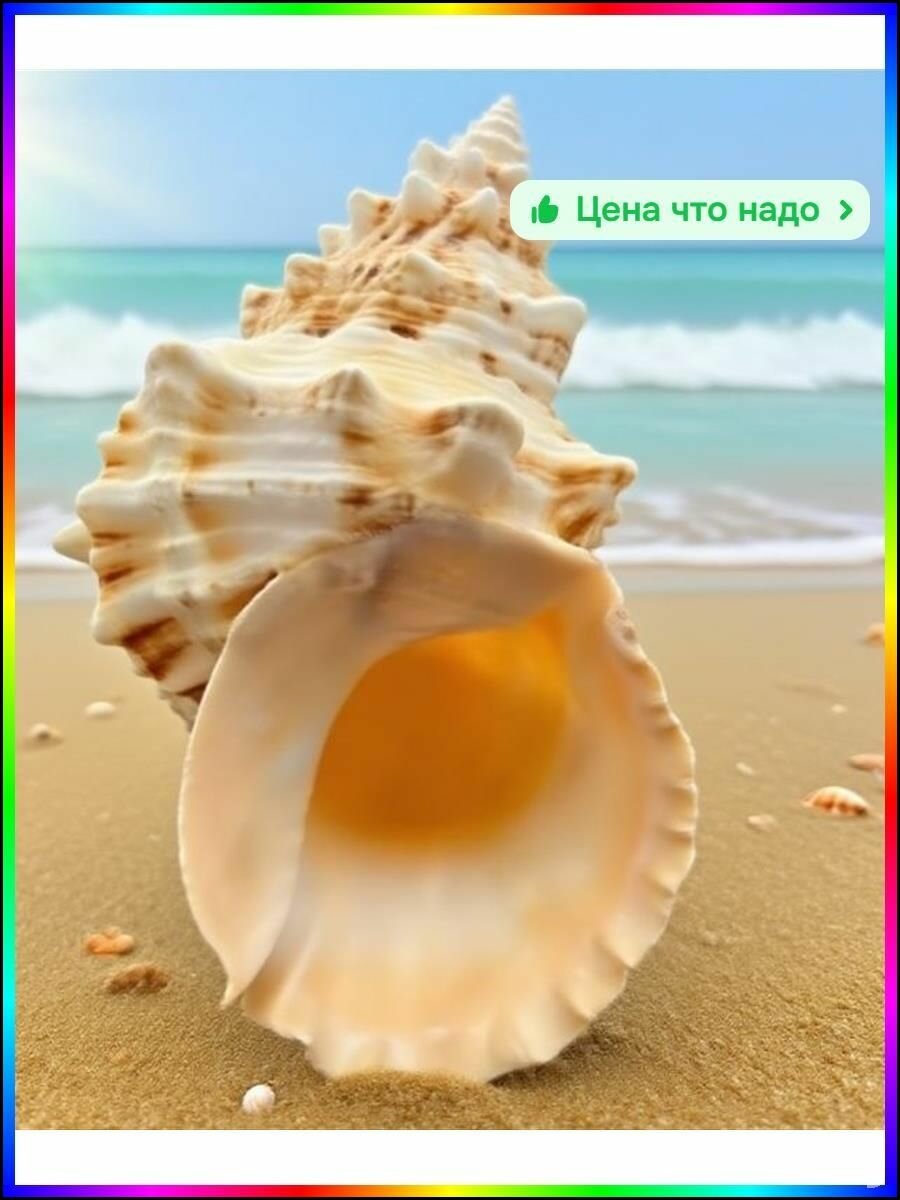 Эксклюзивный декор для террариума и аквариума выполнен из морской раковины