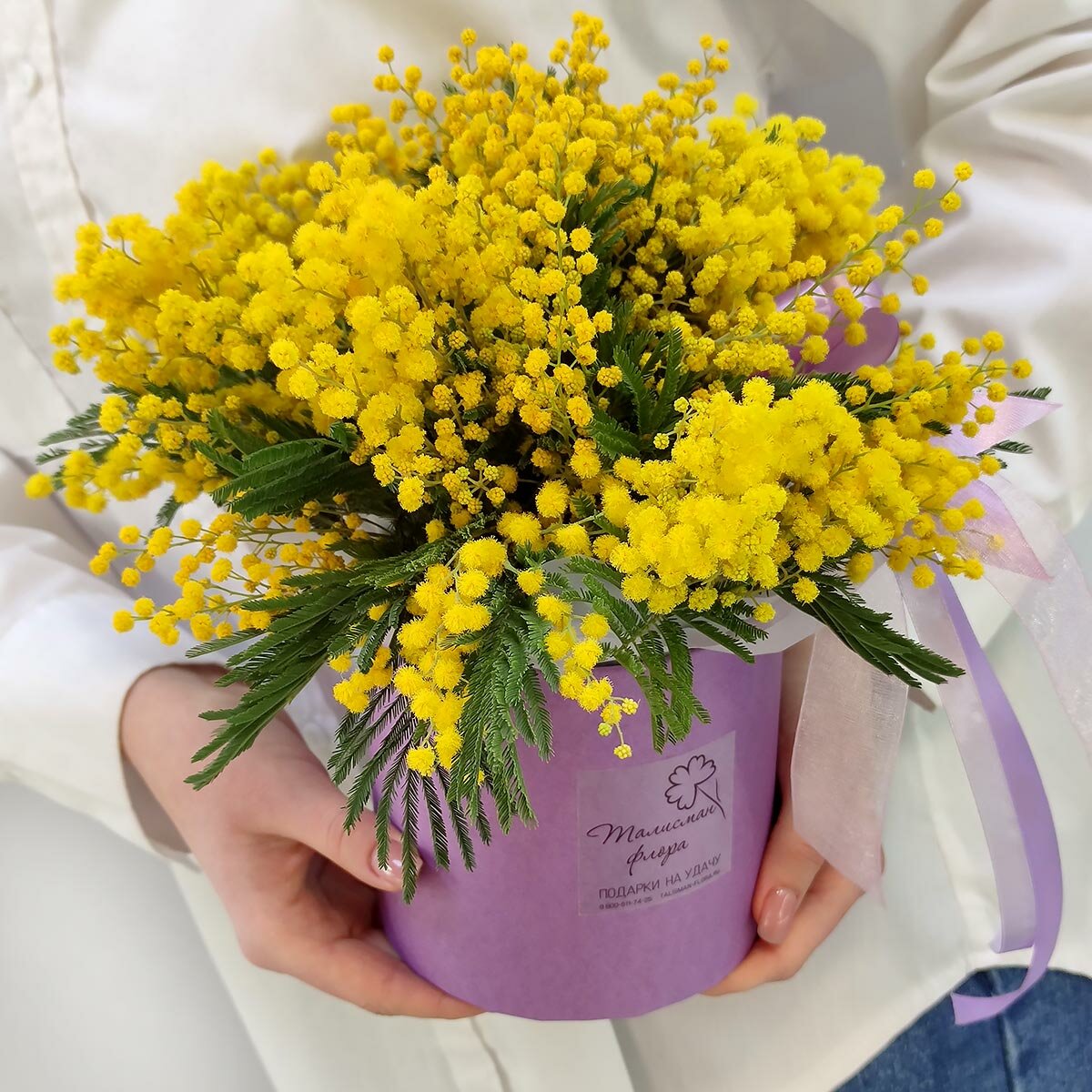 Букет "Коробочка Мимозы", 20см, 5 цветков, флористическая композиция