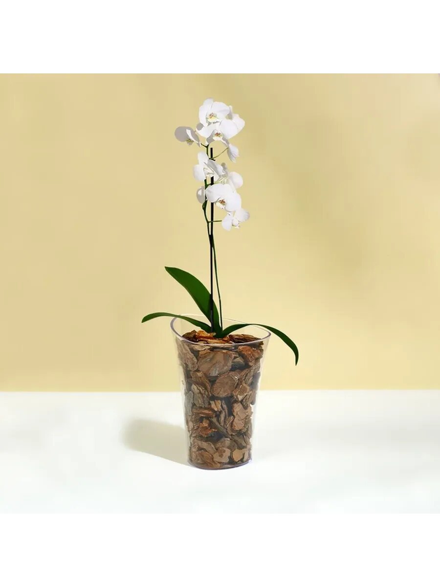 Прозрачный пластиковый горшок для орхидей