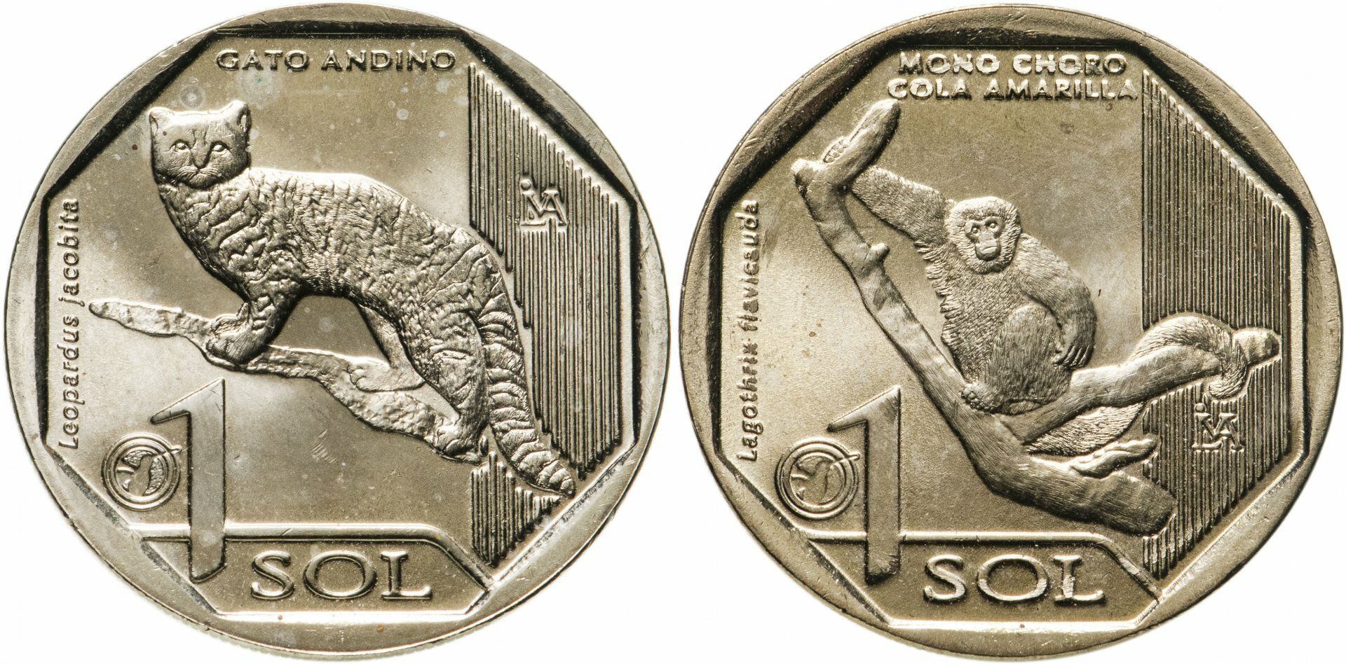 Перу набор 1 соль 2019 "Красная книга Перу - Андская кошка Leopardus jacobita + 1 соль 2019 Желтохвостая обезьяна Lagothrix flavicauda", МНЦ медь-никель-цинк