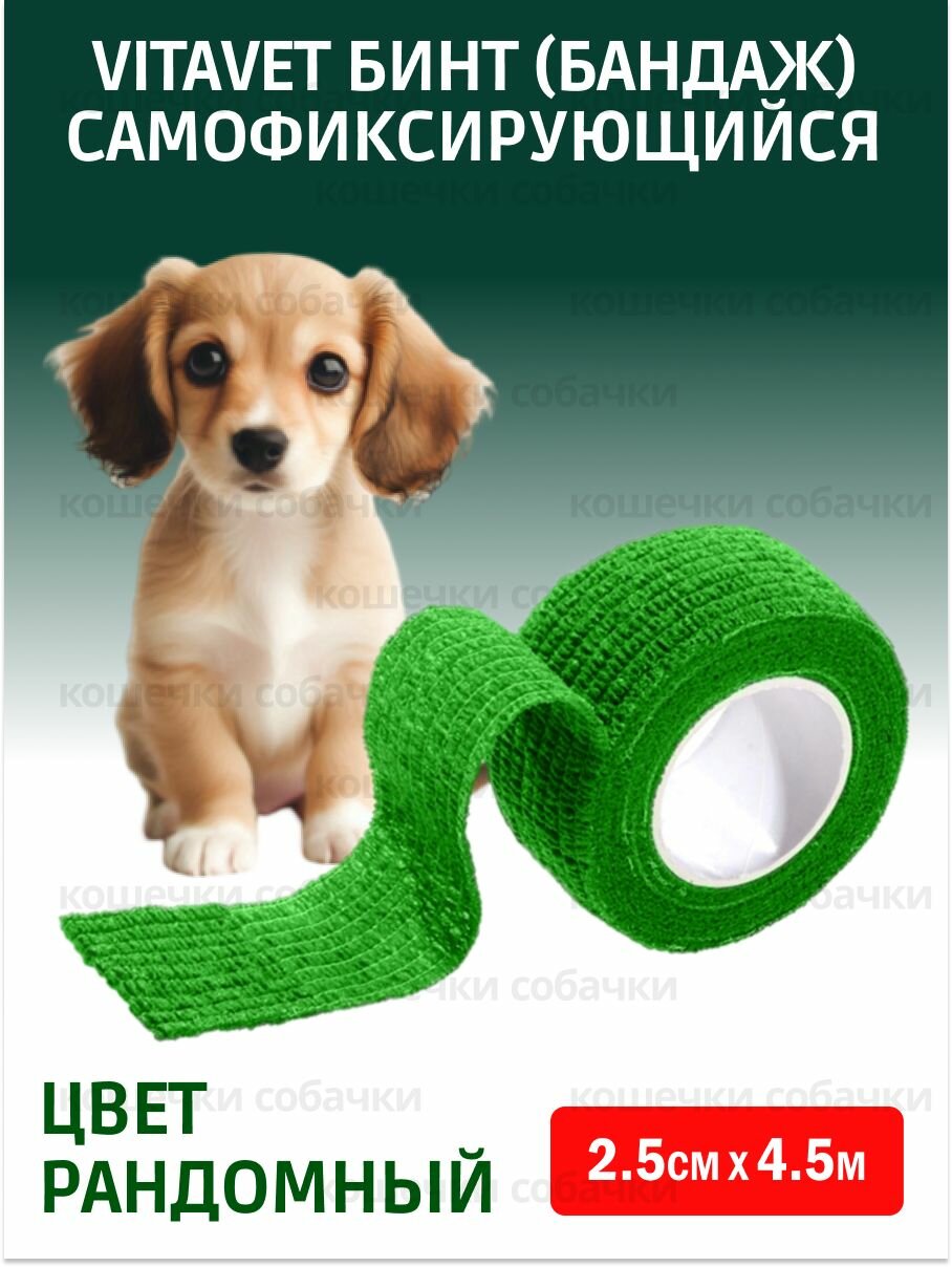 VitaVet Бинт-бандаж самофиксирующийся 2.5см х 4.5м цвет рандомный