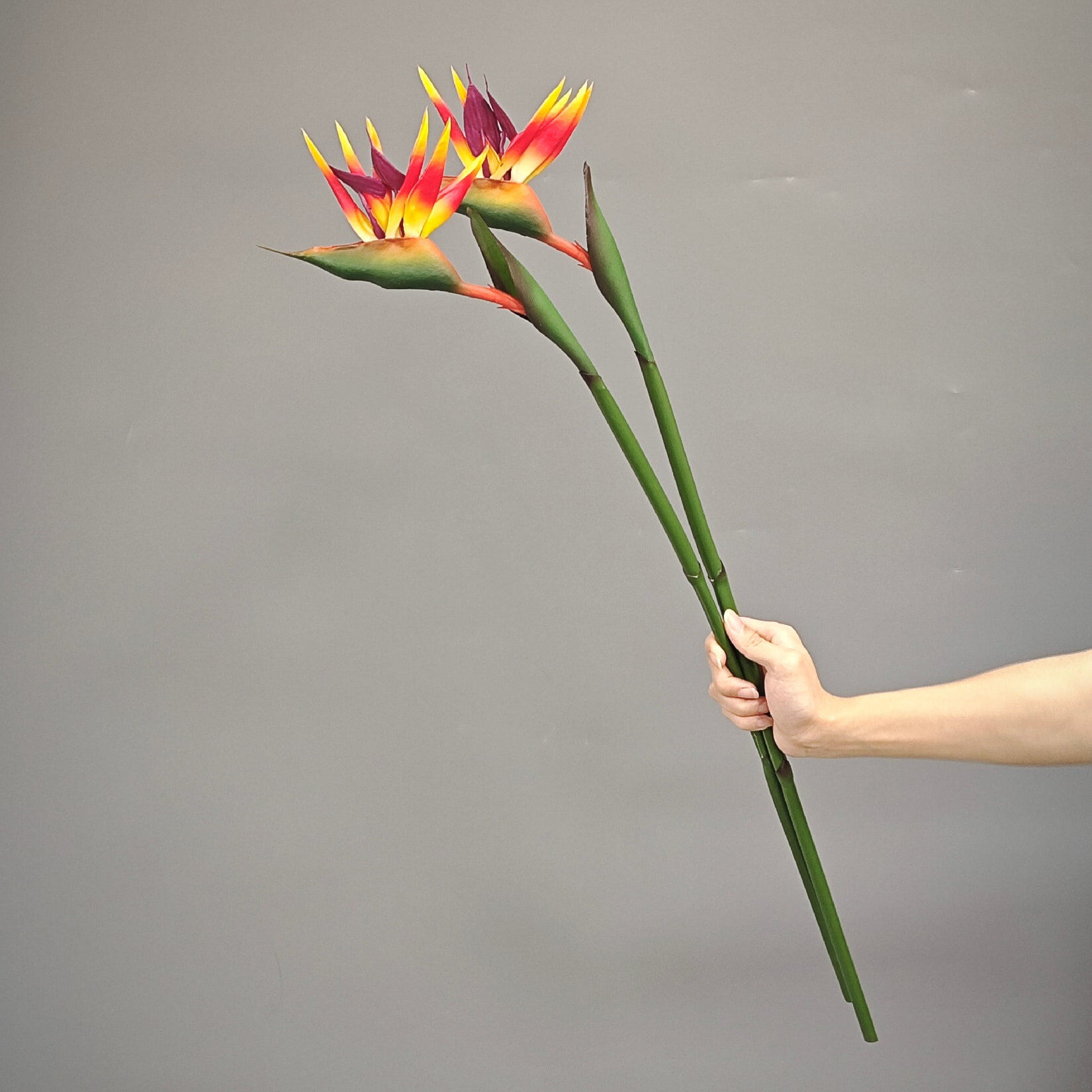 2025 Искусственное зеленое растение 5-головый огненный феникс искусственный цветок райская птица одиночная ветка висячая птица богатая райская птица большая ветка домашний декор