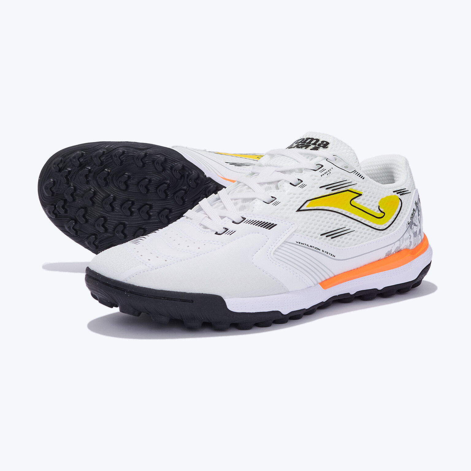 Сороконожки