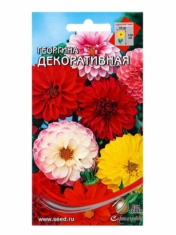 Семена цветов Георгина Декоративная 15 шт