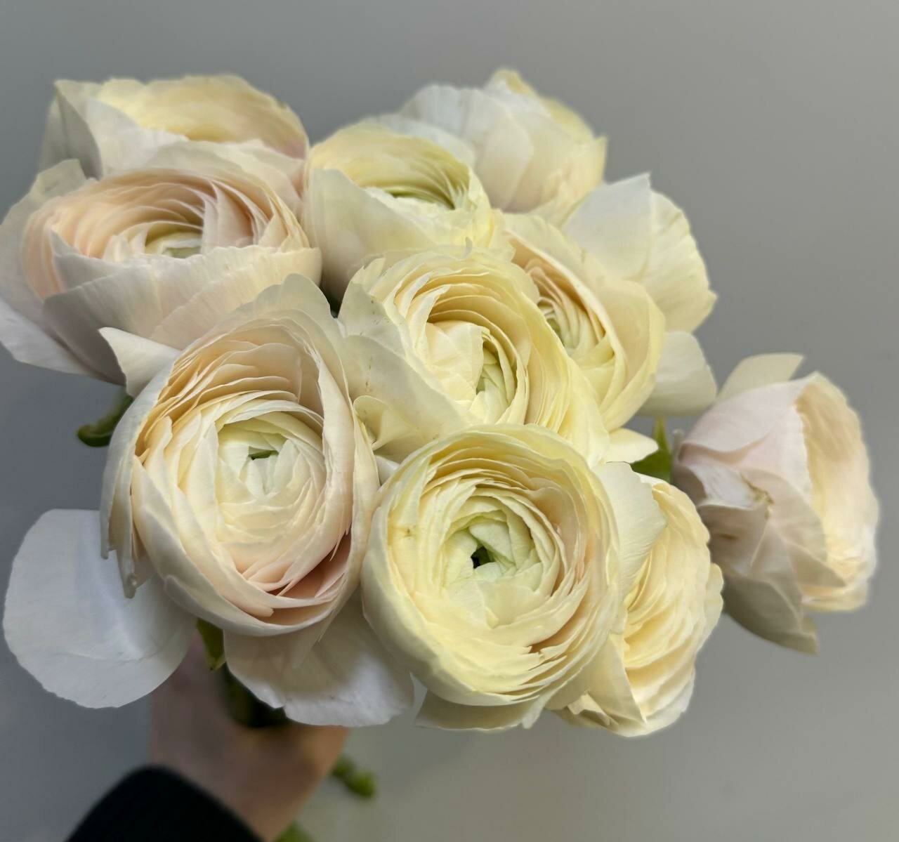 Букет из нежных ранункулюсов