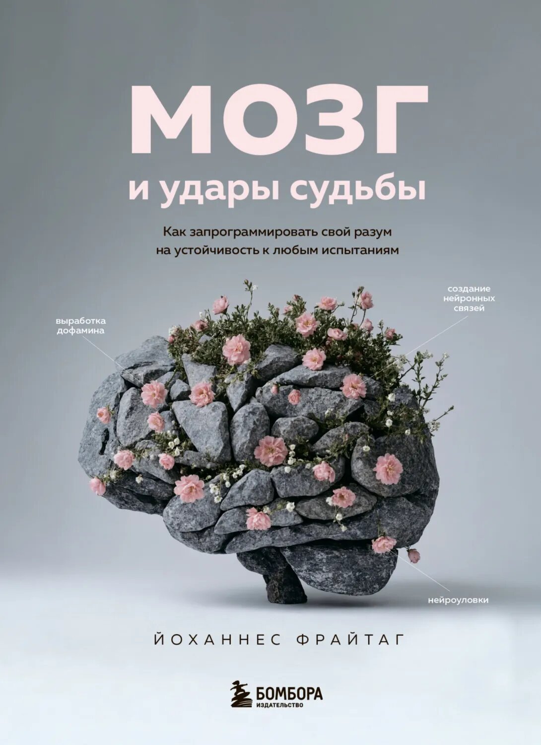 Мозг и удары судьбы. Как запрограммировать свой разум на устойчивость к любым испытаниям [Цифровая книга]