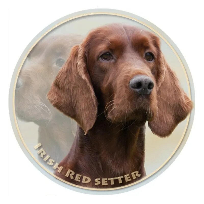 Наклейка Irish Red Setter, 13см, ПВХ