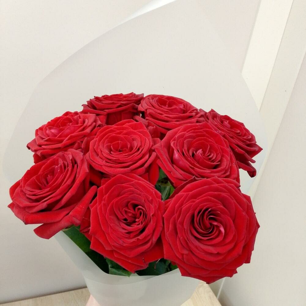 Моно букет из 9 Красных (Бордовых) Эквадорских Роз сорт Explorer