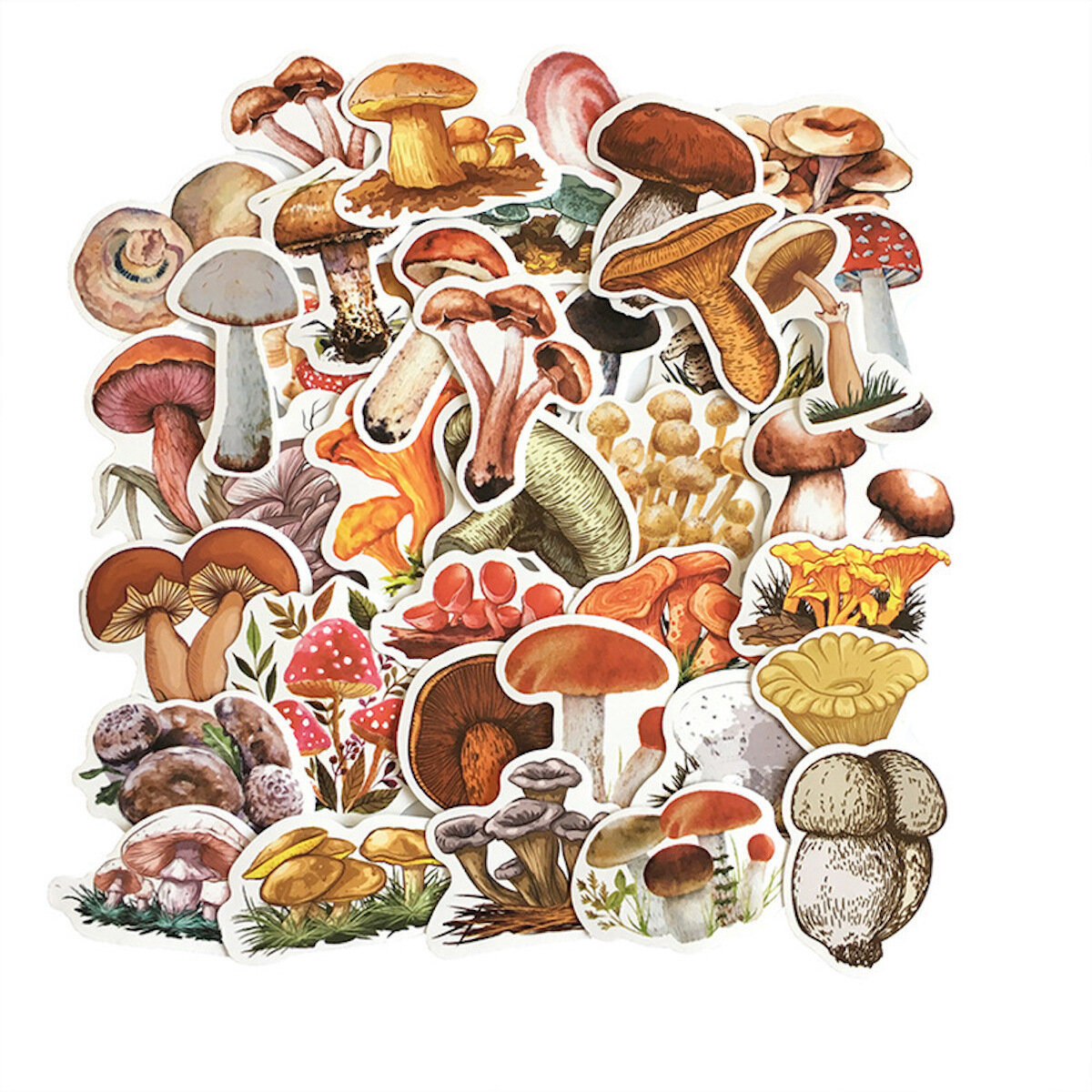 40 шт. Наклейки с изображением грибов, малиновок, экзаменационных материалов, аниме-стикеров, мультяшных наклеек для бутылки с водой, ноутбука, дорожного чехла, автомобиля, скейтборда, мотоцикла, водонепроницаемые виниловые наклейки для подростков и детей.