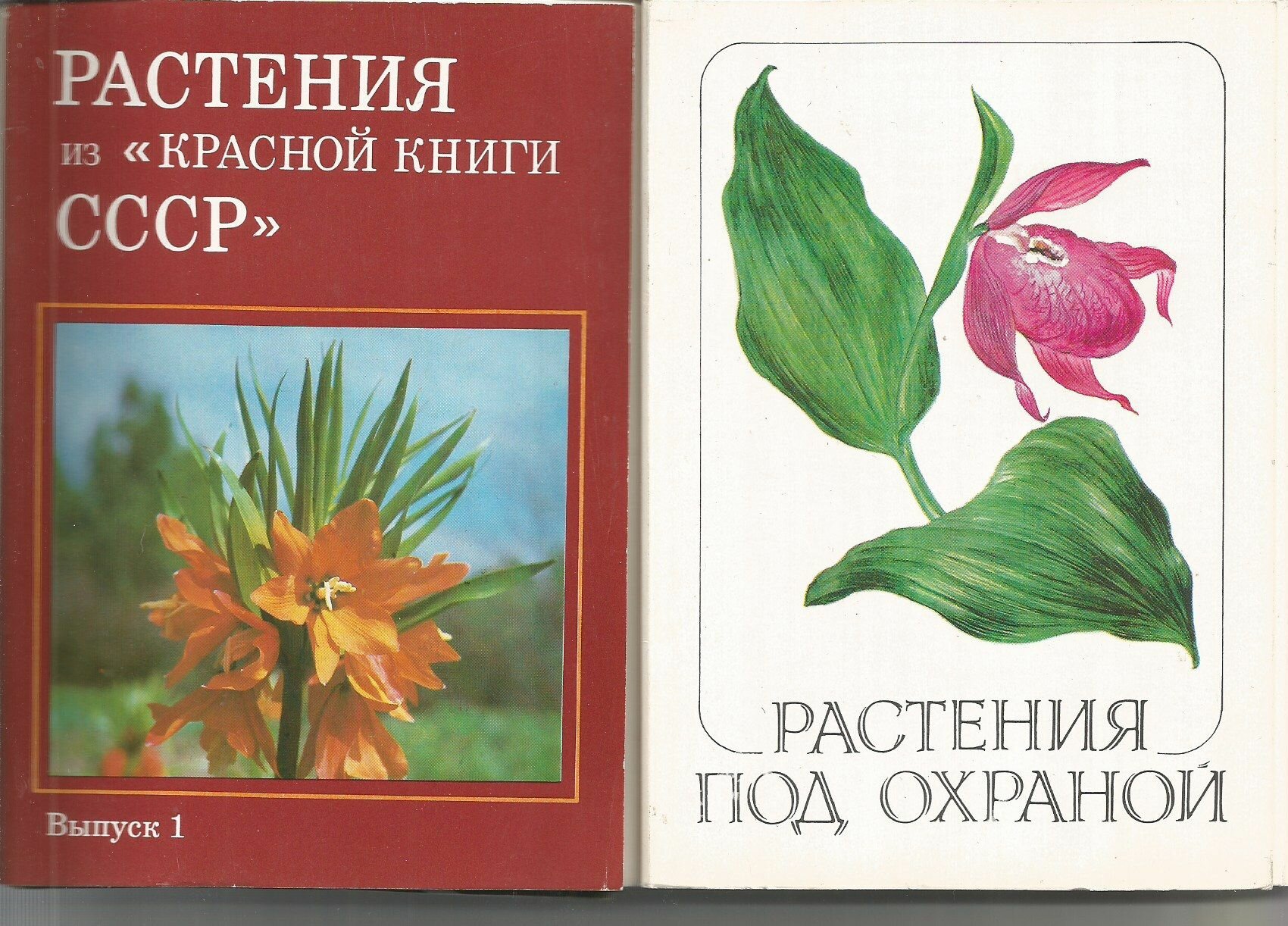 2 набора открыток СССР.1981, 2004 год. Флора. Красная книга. Набор 57 открыток.