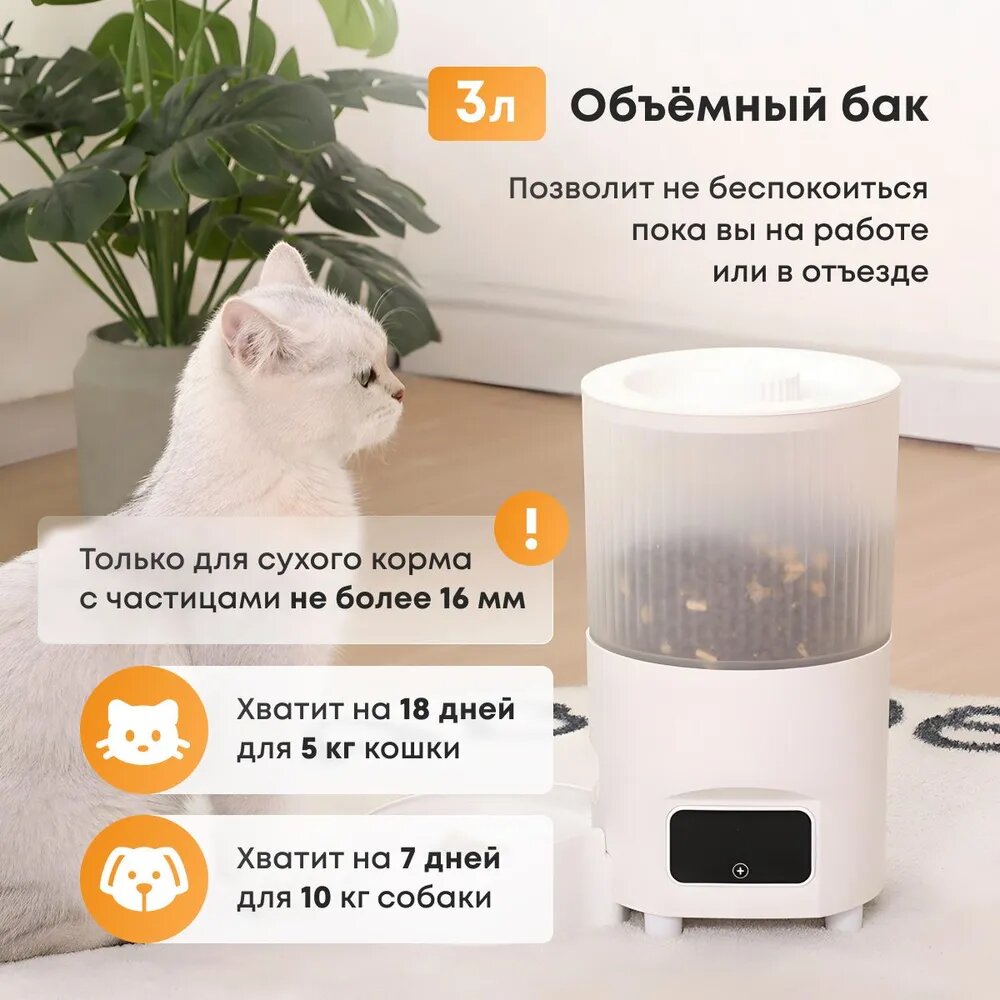 Автокормушка — фото 1