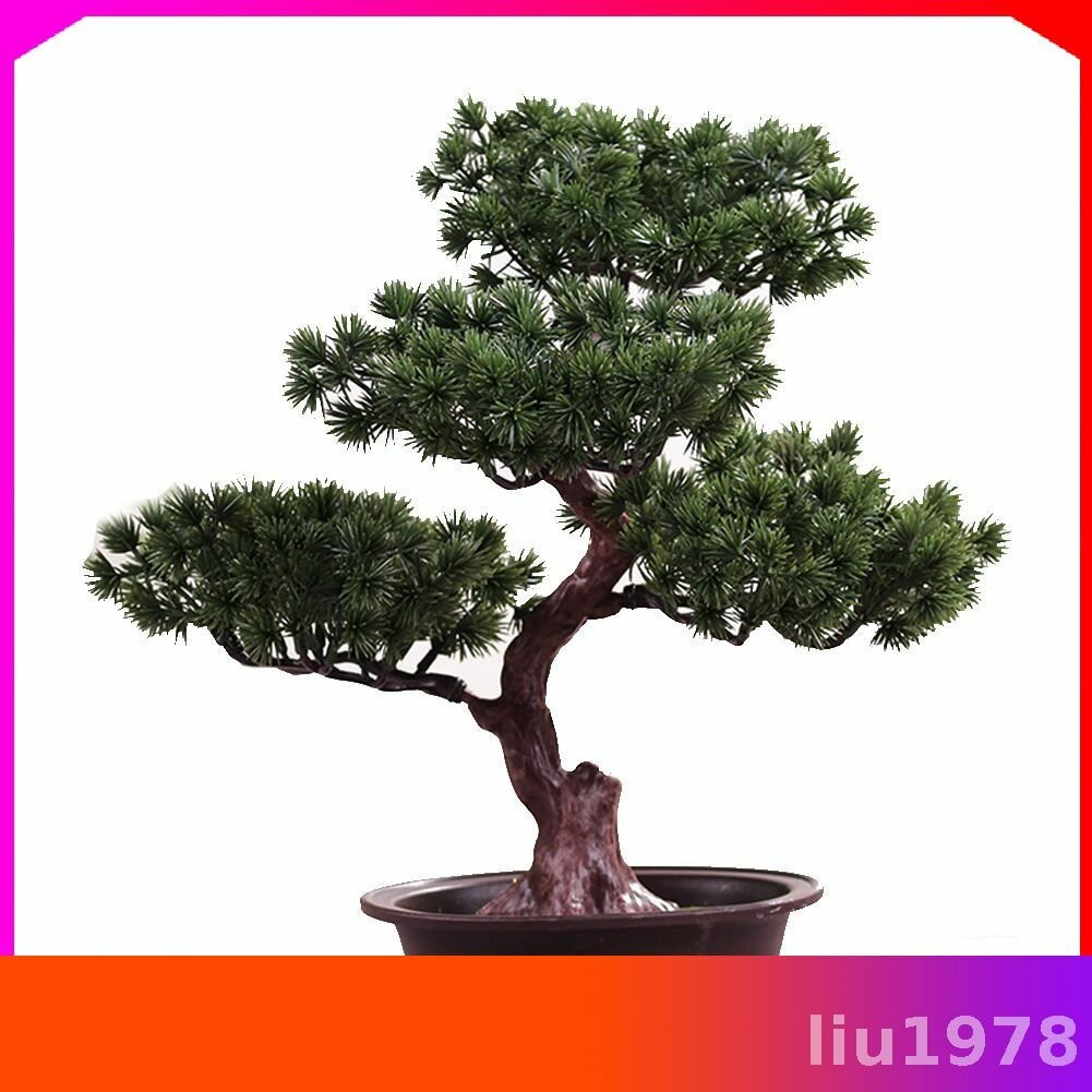 Эксклюзивный декоративный бонсай для офиса, искусственный домик в сосновом кашпо создается своими руками-Liu1978