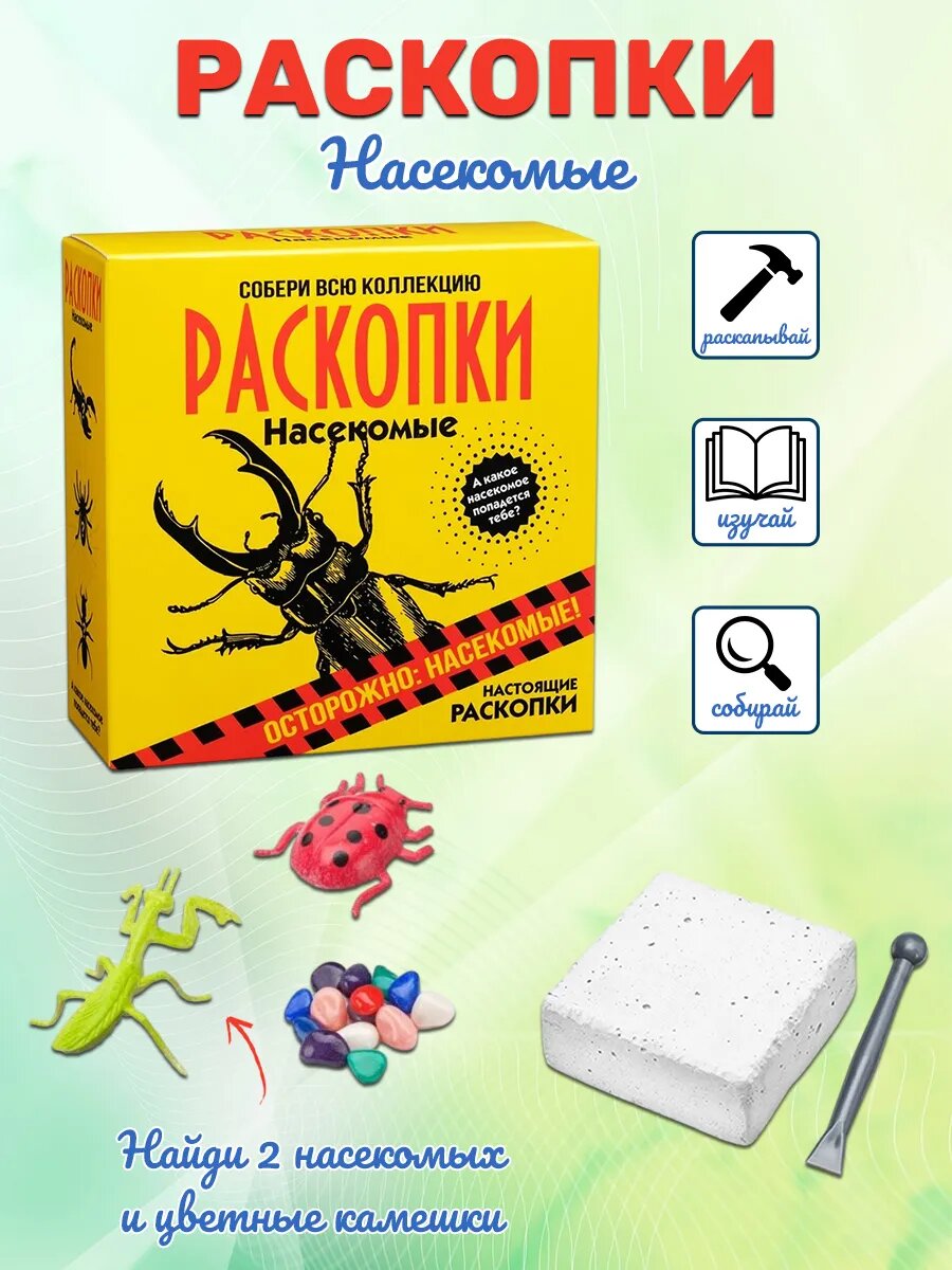 Bumbaram Набор для проведения раскопок "Насекомые"