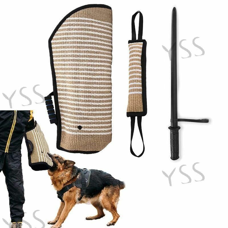 Уникальная забава для питомцев