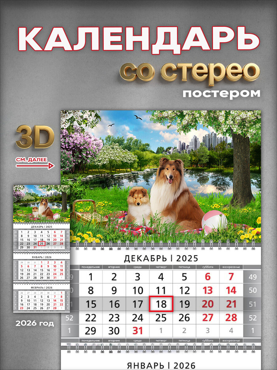 Настенный квартальный стереокалендарь "Собаки колли"