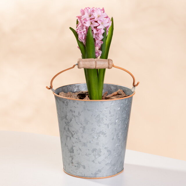 Металлическое кашпо Ведерко Луфен 14 см, Boltze, 2031323/9715834