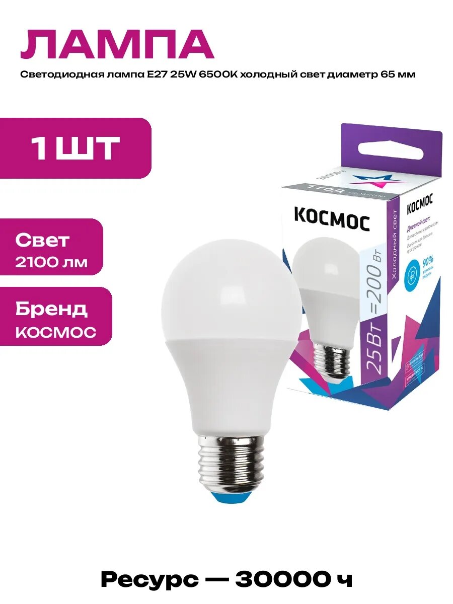Светодиодная лампа E27 25W 6500K холодный свет матовая колба