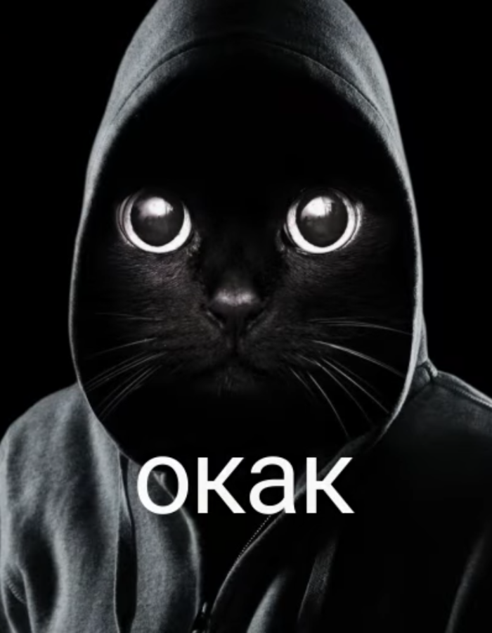 Маска окак мем — фото 1