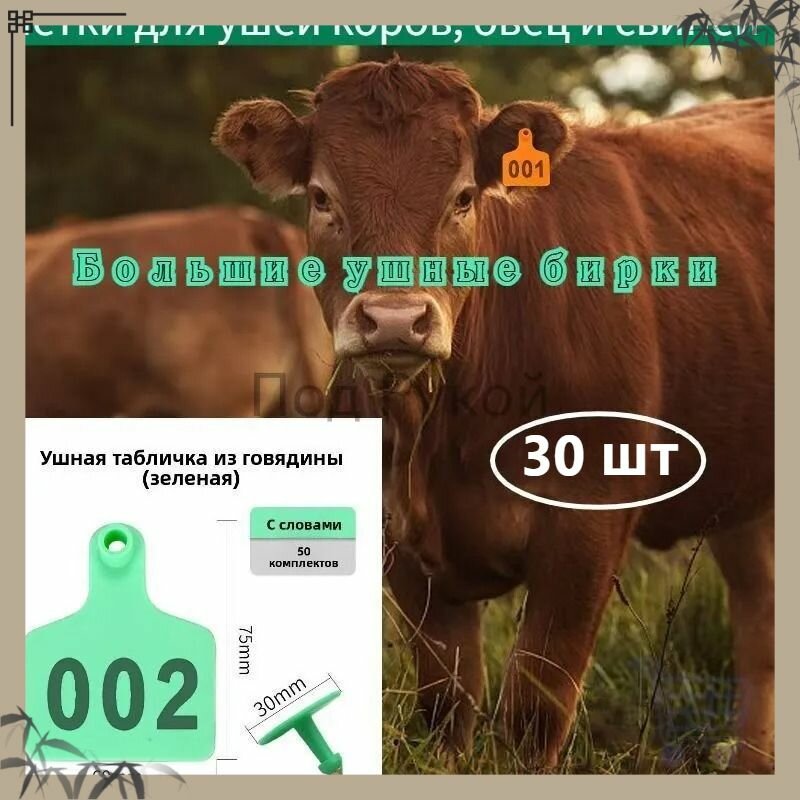 Ушные бирки для животных с номерами Метки для маркировки КРС-(30шт)-зеленый