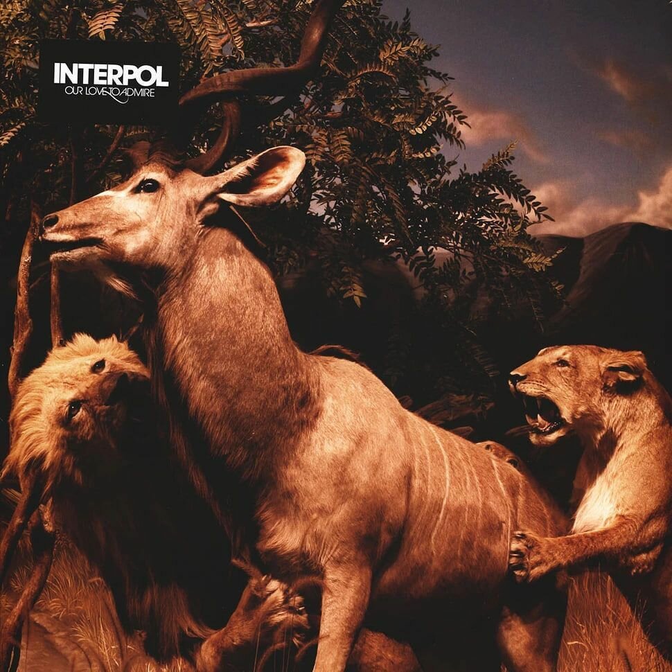 Виниловая пластинка INTERPOL: Our Love To Admire (2LP)
