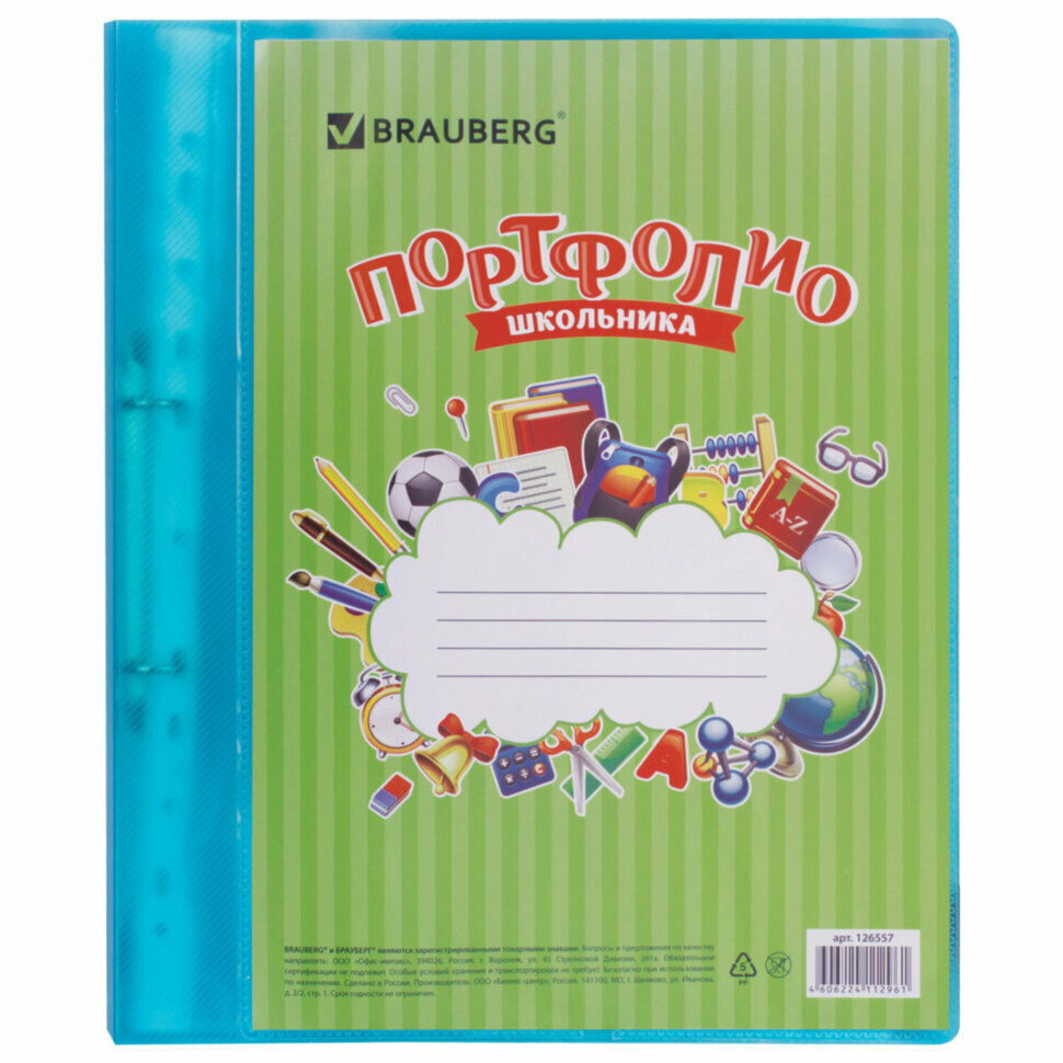 Папка для портфолио школьника, 2 кольца, 20 файлов, пластик, полупрозрачный, синяя, BRAUBERG, 126557, 126557