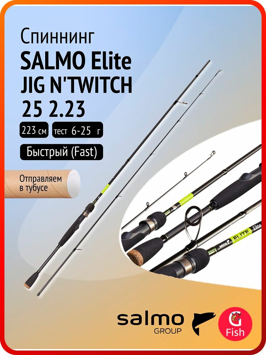 Спиннинг для рыбалки Salmo Elite JIG N'TWITCH 25 2.23