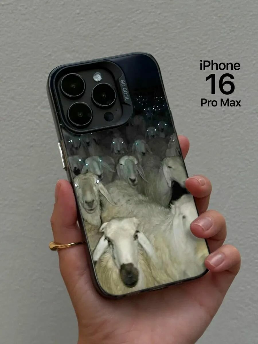 Чехол на Iphone 16 Pro Max мем