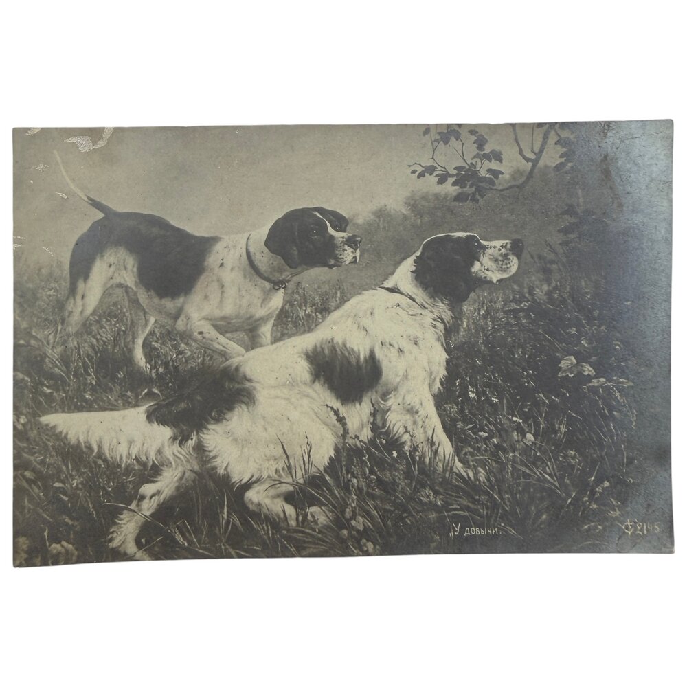 Почтовая открытка "У добычи" 1900-1917 гг. Российская Империя