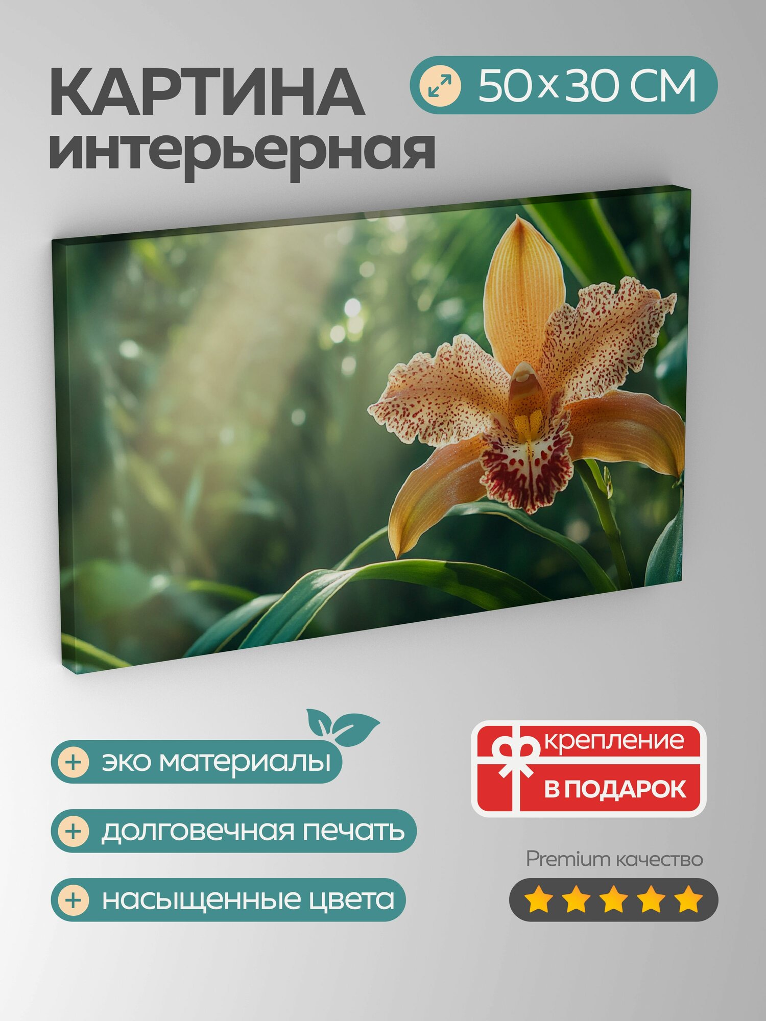 Картина на холсте интерьерная 50х30 см, Орхидеи, экзотический вид, естественная среда, яркие цвета, замысловатые узоры