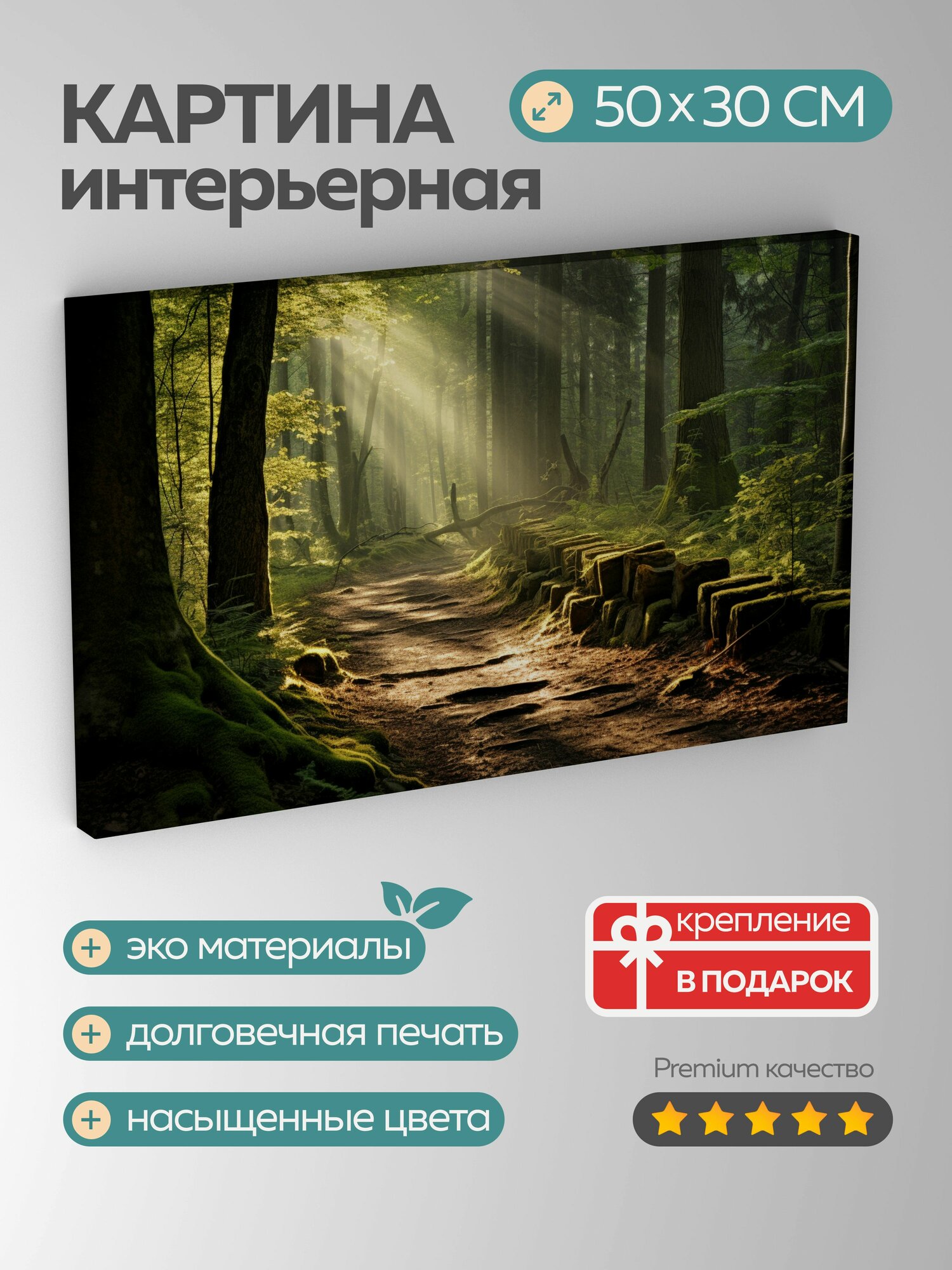 Картина на холсте интерьерная 50х30 см, лес, тропинка, туман, солнечный свет, густая листва, следы животных, интрига